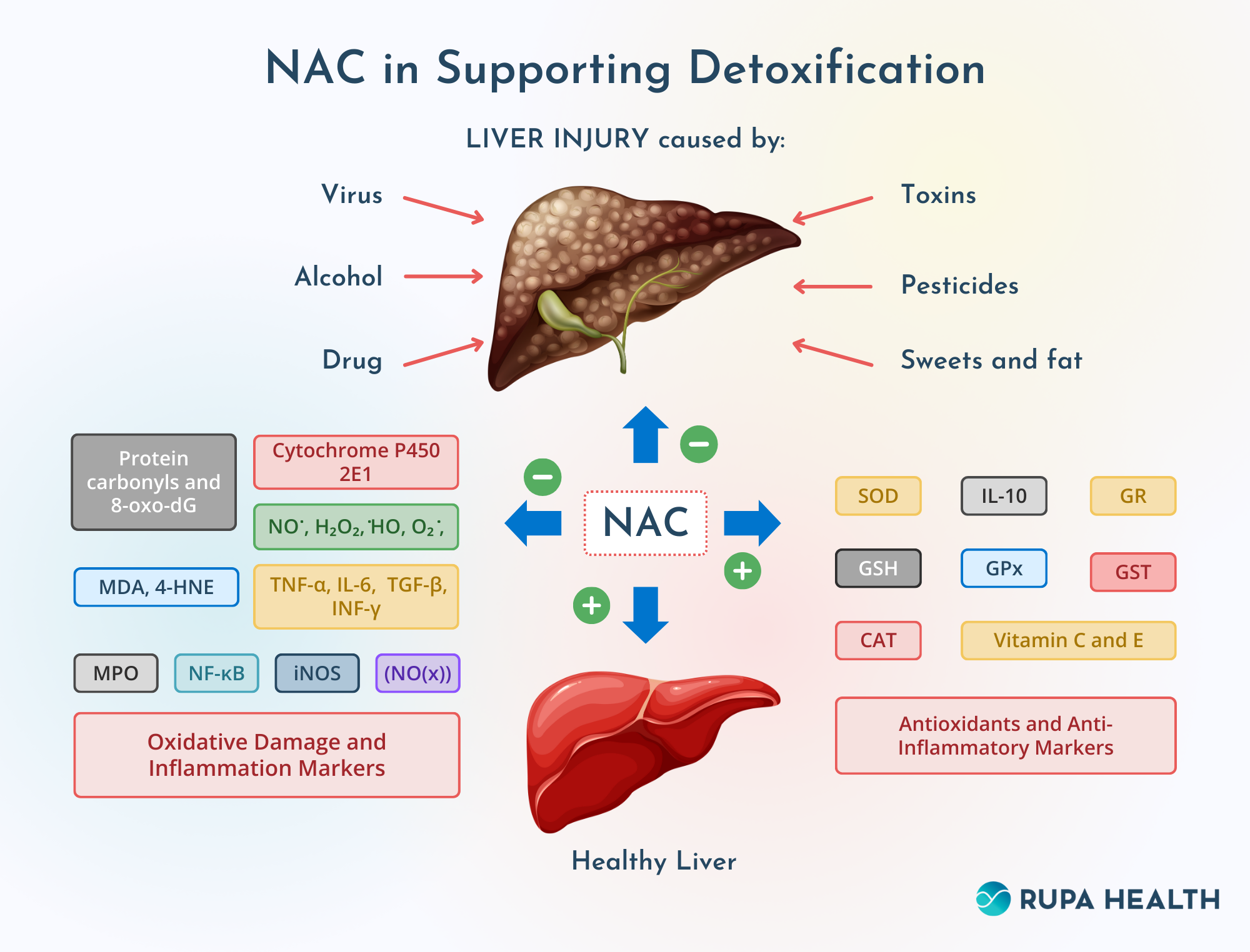 N-Acetyl Cysteine (NAC): Supporting Detoxification and Hormonal Balance